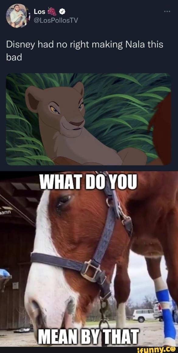 Los Disney had no right making Nala this bad WHAT DO YOU MEAN BY THAT ...