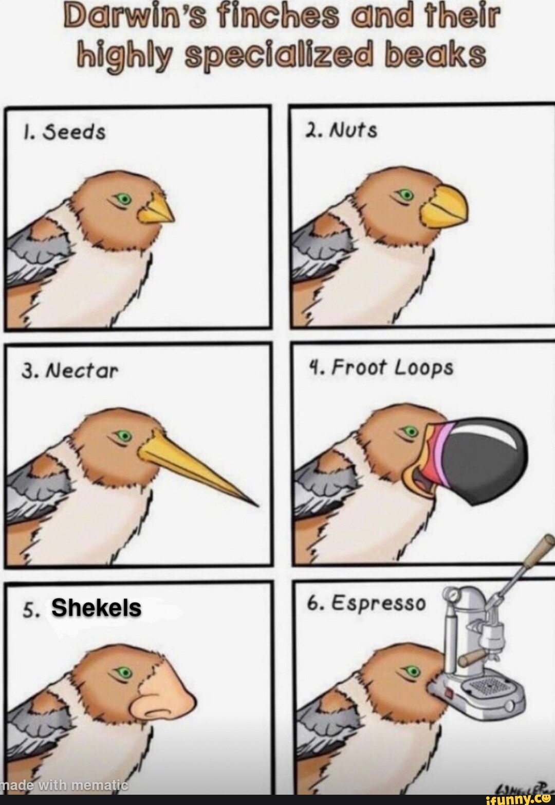 Darwin's finches he their highly specialized beaks Seeds witn - iFunny