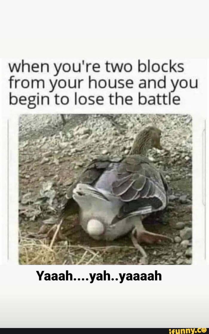 Yaaah memes. Best Collection of funny Yaaah pictures on iFunny