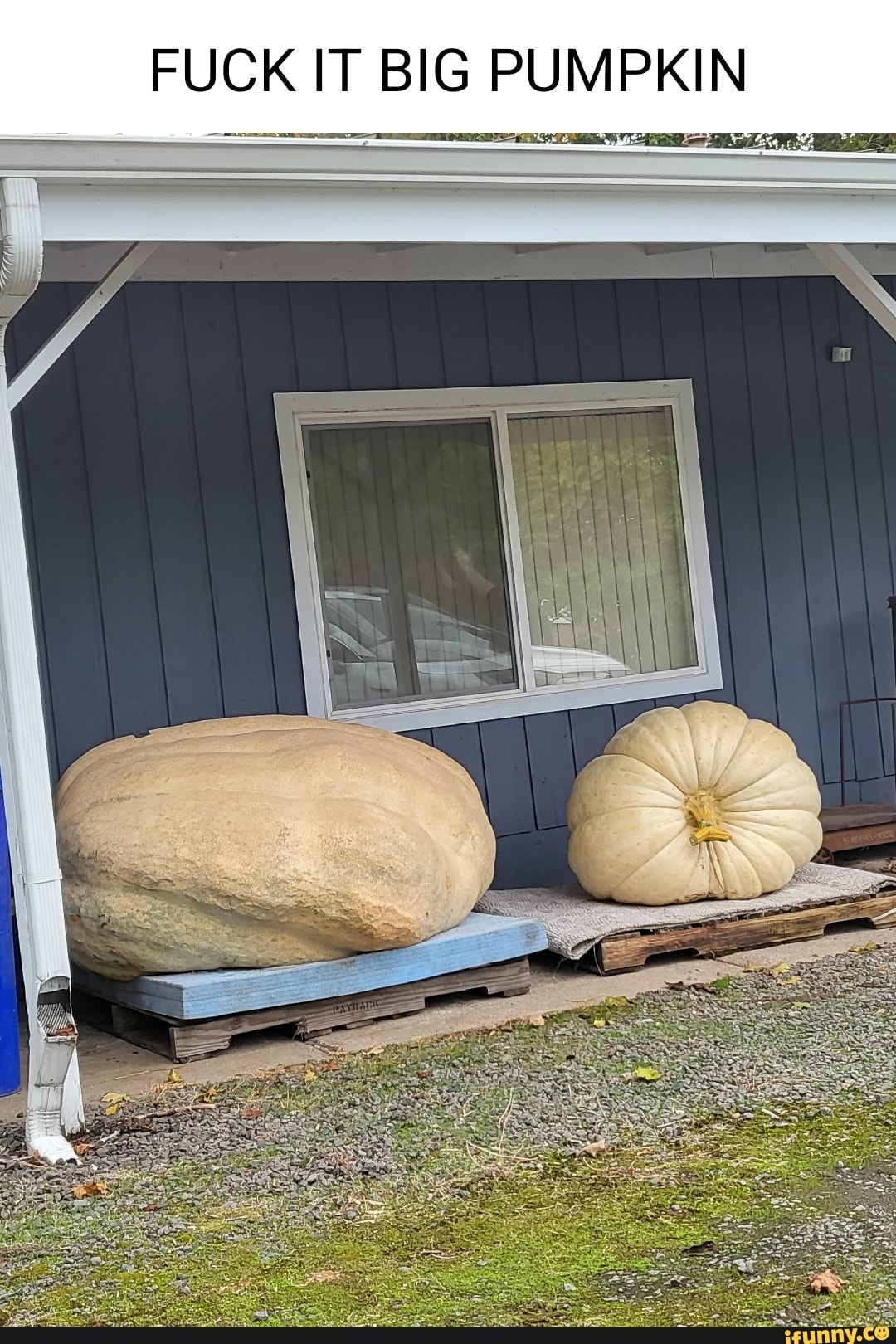 Blumpkin memes. Best Collection of funny Blumpkin pictures on iFunny