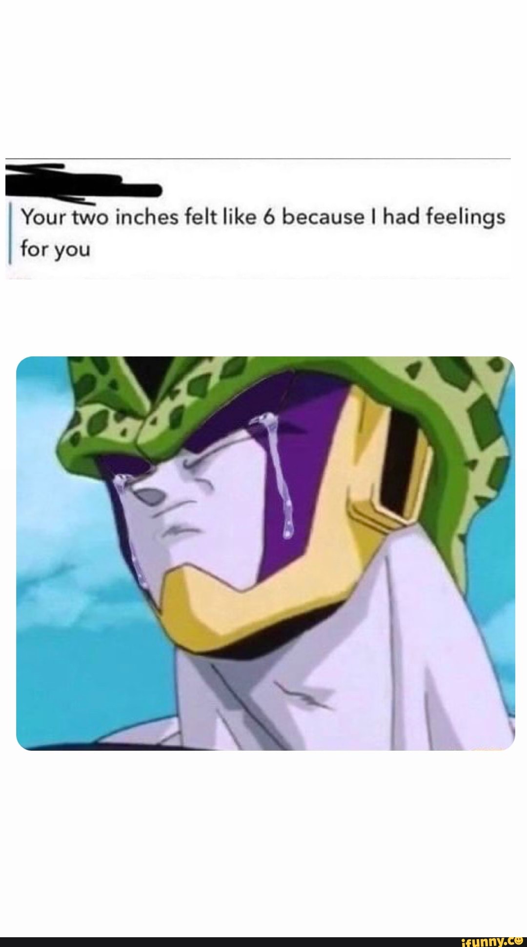 Your two inches felt like 6 because I had feelings for you - iFunny