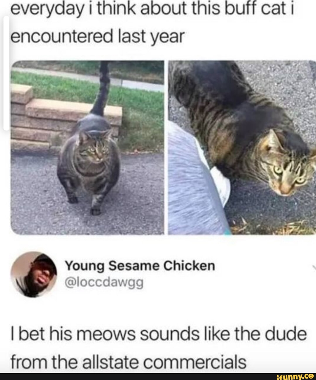 Allstate memes. Best Collection of funny Allstate pictures on iFunny