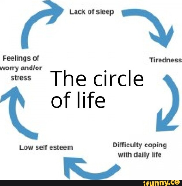 Feelings of Tiredness The circle of life Low self esteem Difficulty ...