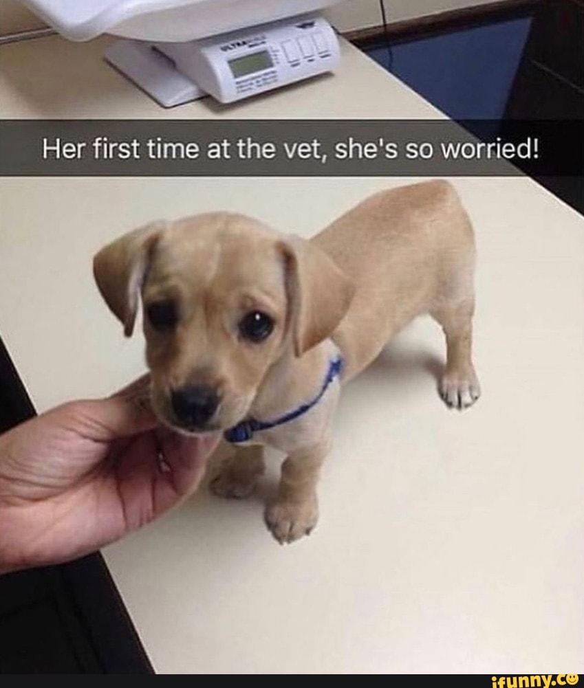 BLUSH METER MEME LAY. - iFunny