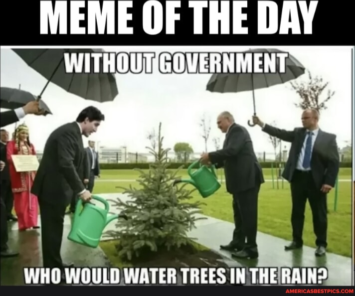 MEME OF THE DAY WHG WGULD WATER TREES IN THE RAIN? - America’s best ...