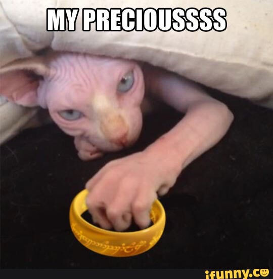 Sphinx_cat memes. Best Collection of funny Sphinx_cat pictures on iFunny