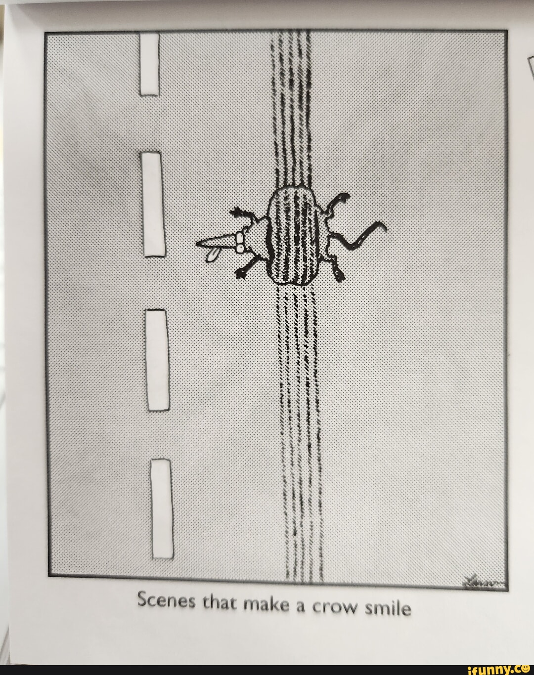 Scenes that make a crow smile - iFunny