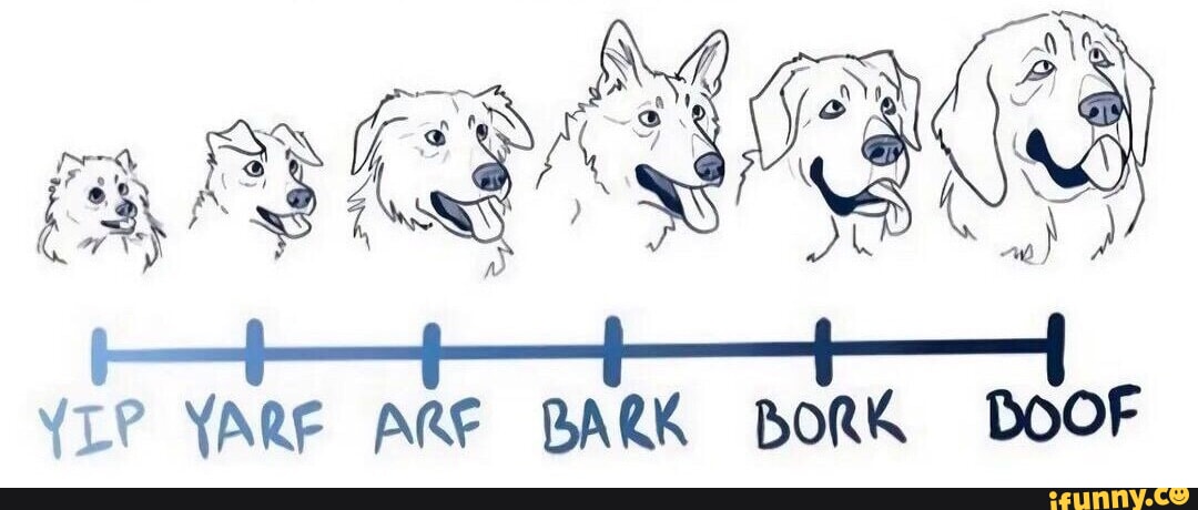 Bork memes. Best Collection of funny Bork pictures on iFunny