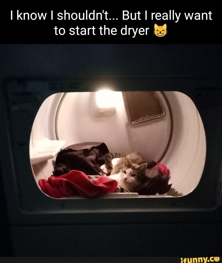 I know I shouldn't... But I really want to start the dryer - iFunny