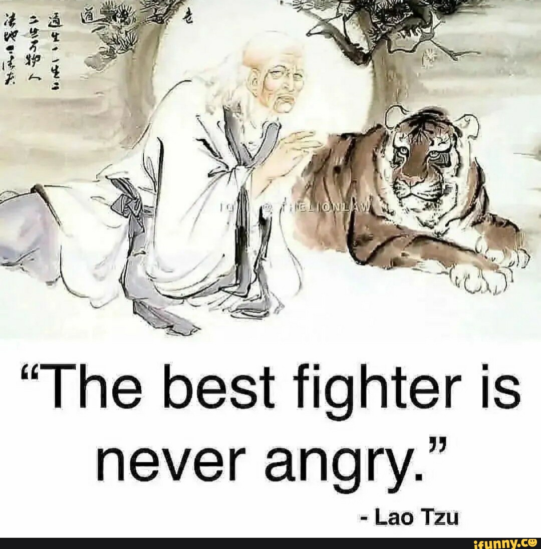 "The best fighter is never angry." - Lao Tzu - iFunny
