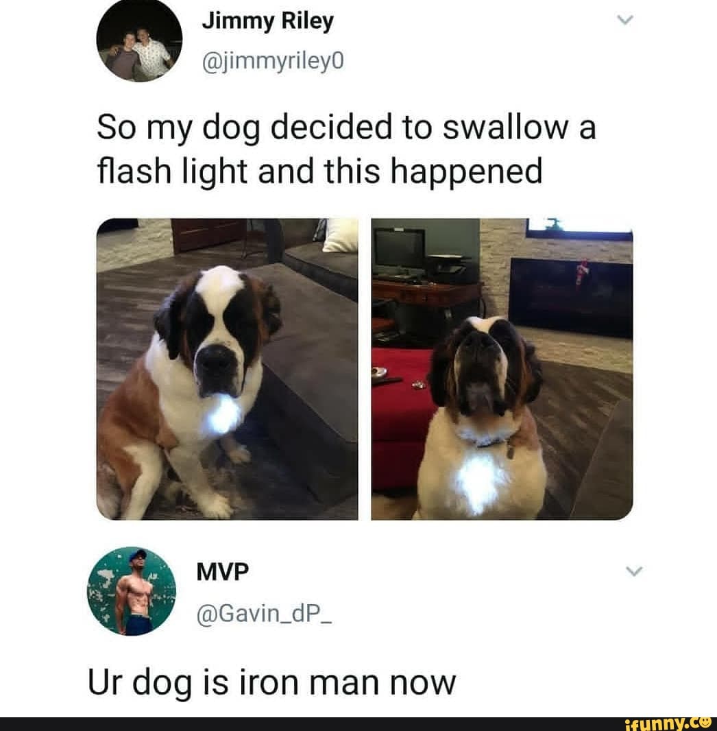 So my dog decided to swallow a flash light and this happened Ur dog is ...