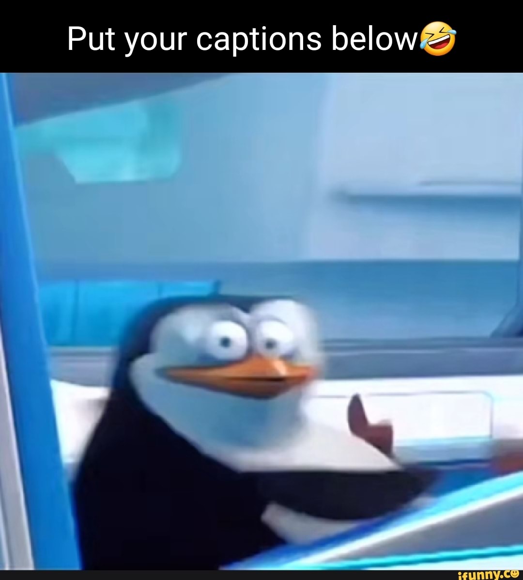 Put your captions below - iFunny