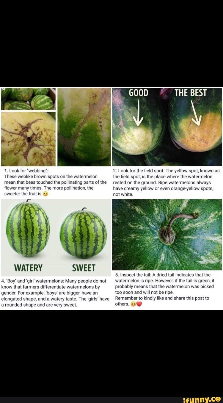 1. Look for 'webbing' These weblike brown spots on th mean that bees ...