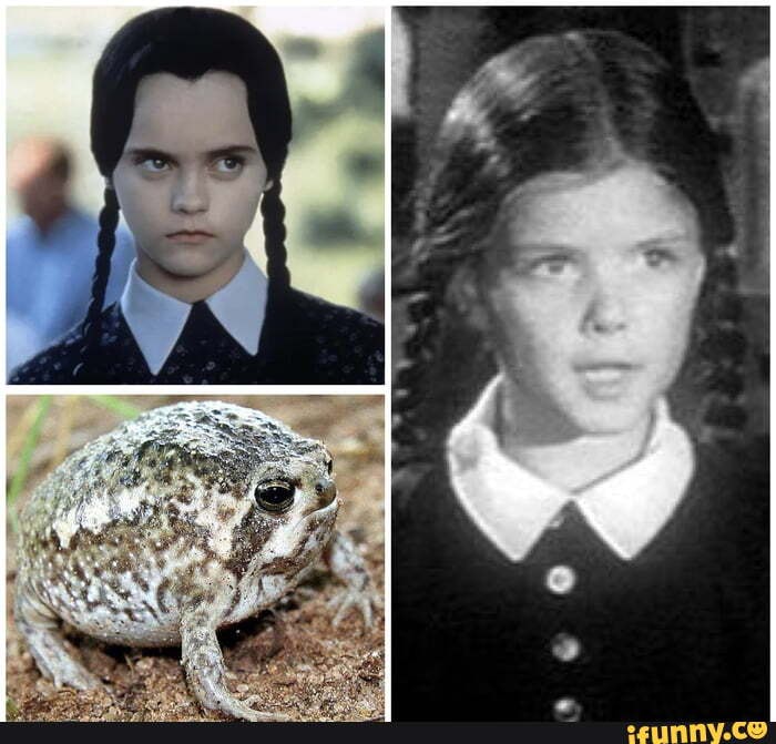 Addams_family_values memes. Best Collection of funny Addams_family ...