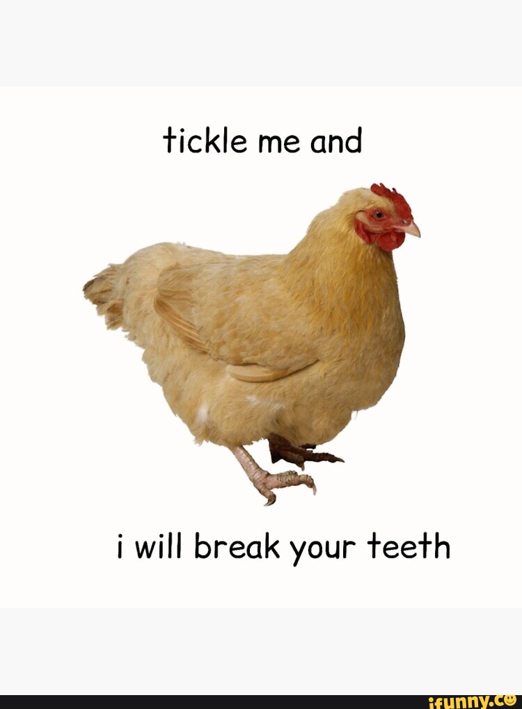 Tickle memes. Best Collection of funny Tickle pictures on iFunny