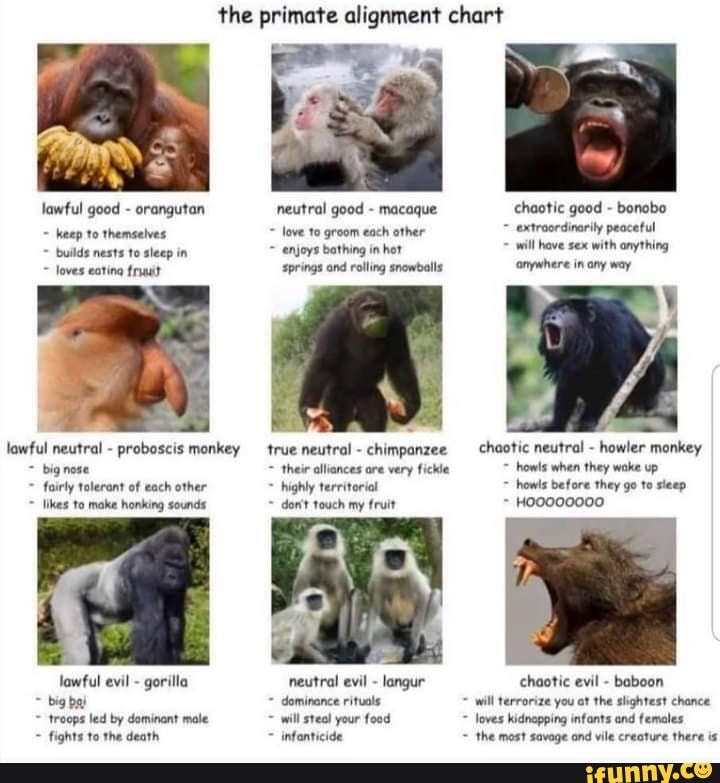 Prehistoric_wildlife memes. Best Collection of funny Prehistoric ...