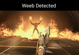 Weebslayer memes. Best Collection of funny Weebslayer pictures on iFunny