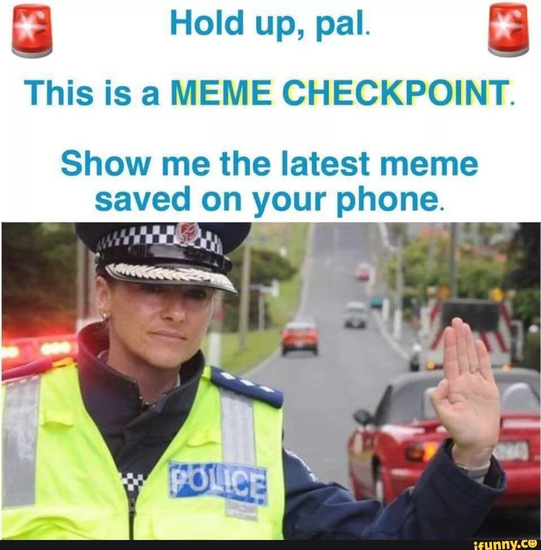 A up, pal. & This is a MEME CHECKPOINT. Show me the latest meme savedon ...