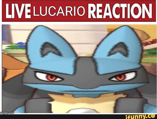 LIVE LUCARIO REACTION - iFunny