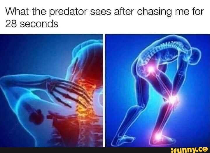 What the predator sees after chasing me for 28 seconds - iFunny