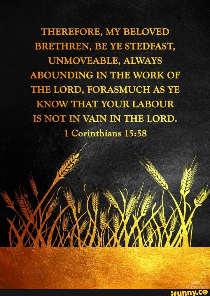 Vain memes. Best Collection of funny Vain pictures on iFunny