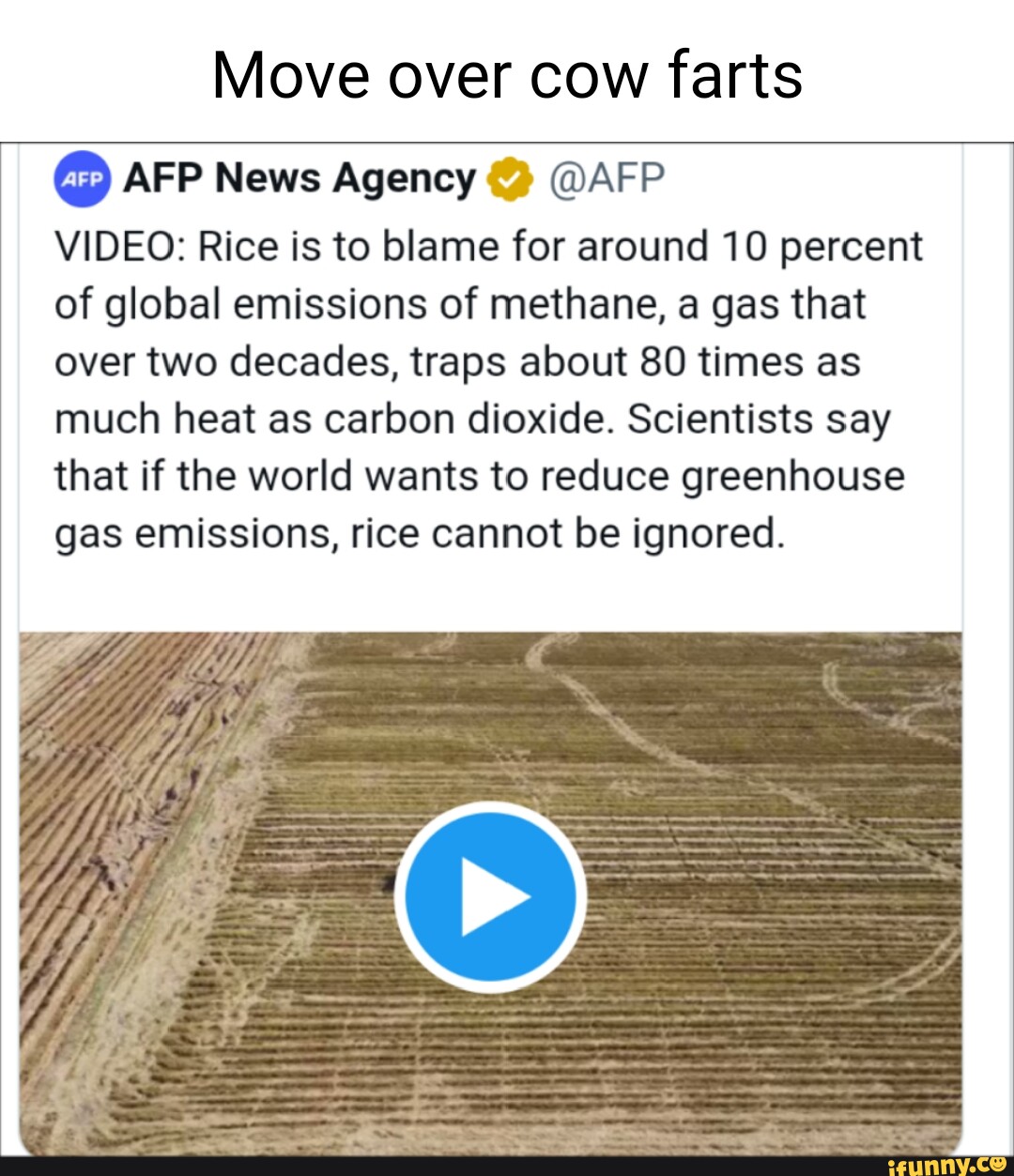 Move over cow farts @ AFP News Agency @AFP VIDEO: Rice is to blame for ...
