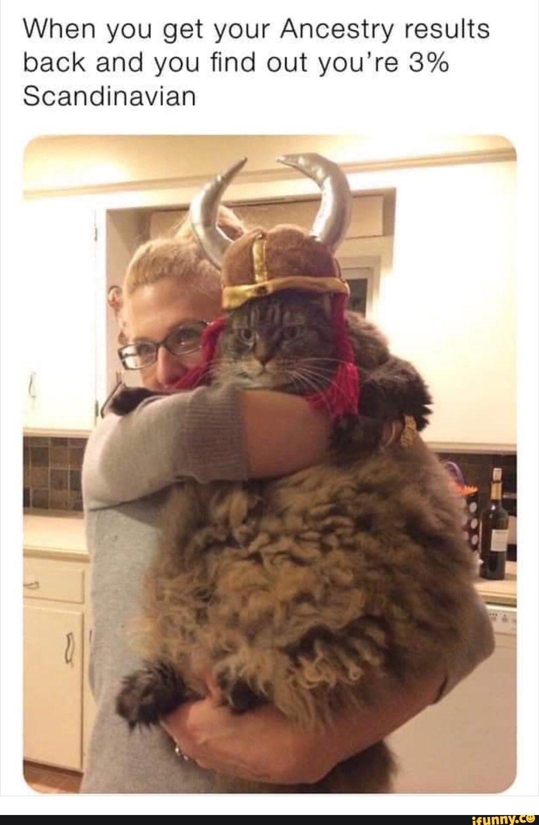 Scandinavian memes. Best Collection of funny Scandinavian pictures on ...