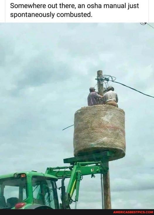 #farm #farmingmeme #farmeme #farmmeme #meme #agmeme #cows #calf #caving ...