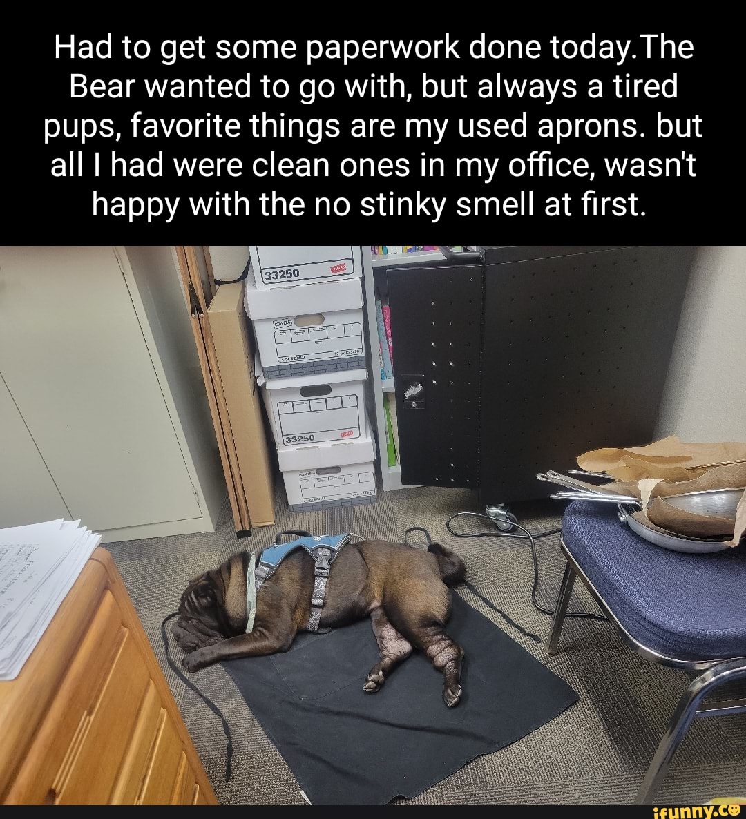 Paperwork memes. Best Collection of funny Paperwork pictures on iFunny