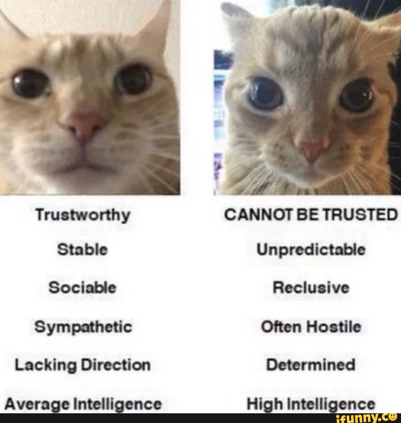 Reclusive memes. Best Collection of funny Reclusive pictures on iFunny