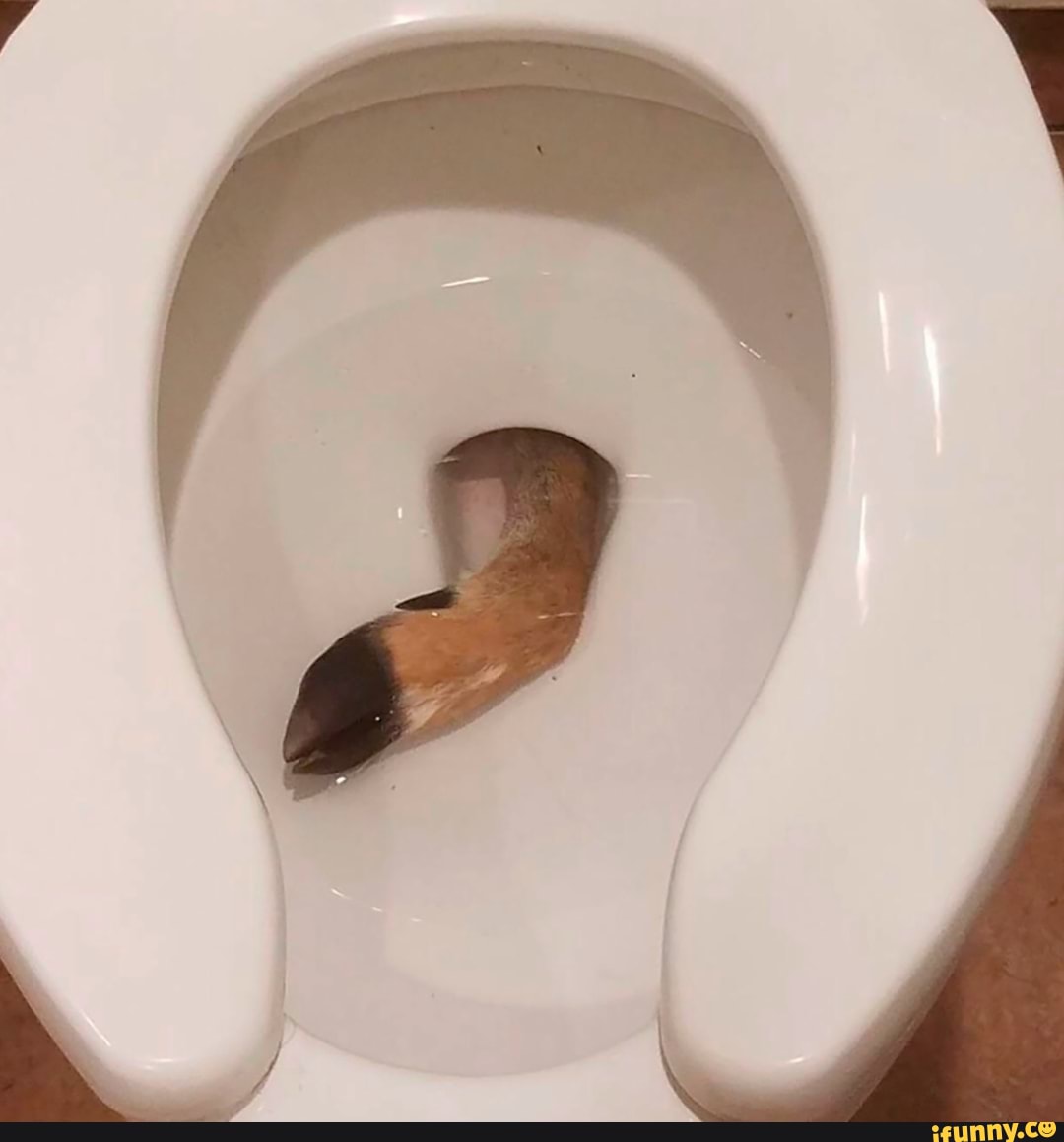 Cursed_deer memes. Best Collection of funny Cursed_deer pictures on iFunny