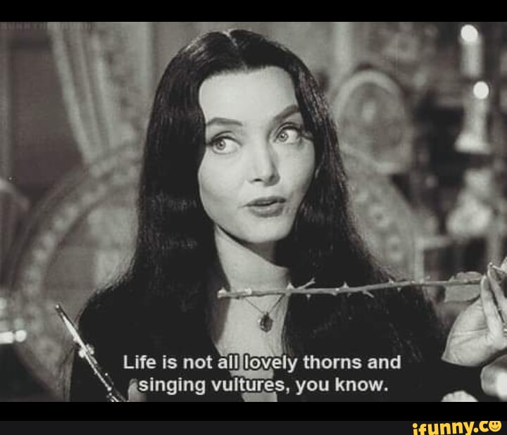 Morticia memes. Best Collection of funny Morticia pictures on iFunny