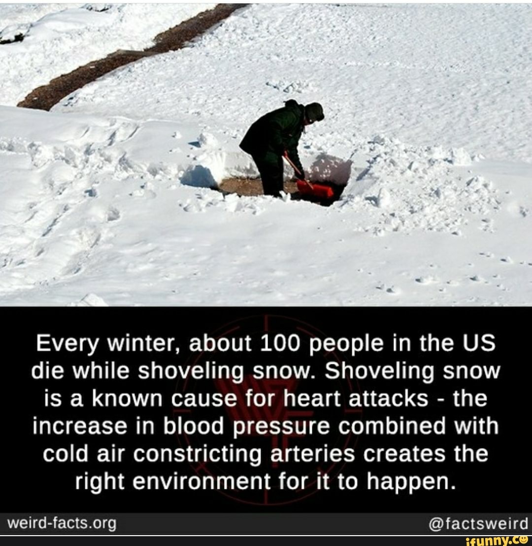 Every winter, about 100 people in the US die while shoveling snow ...