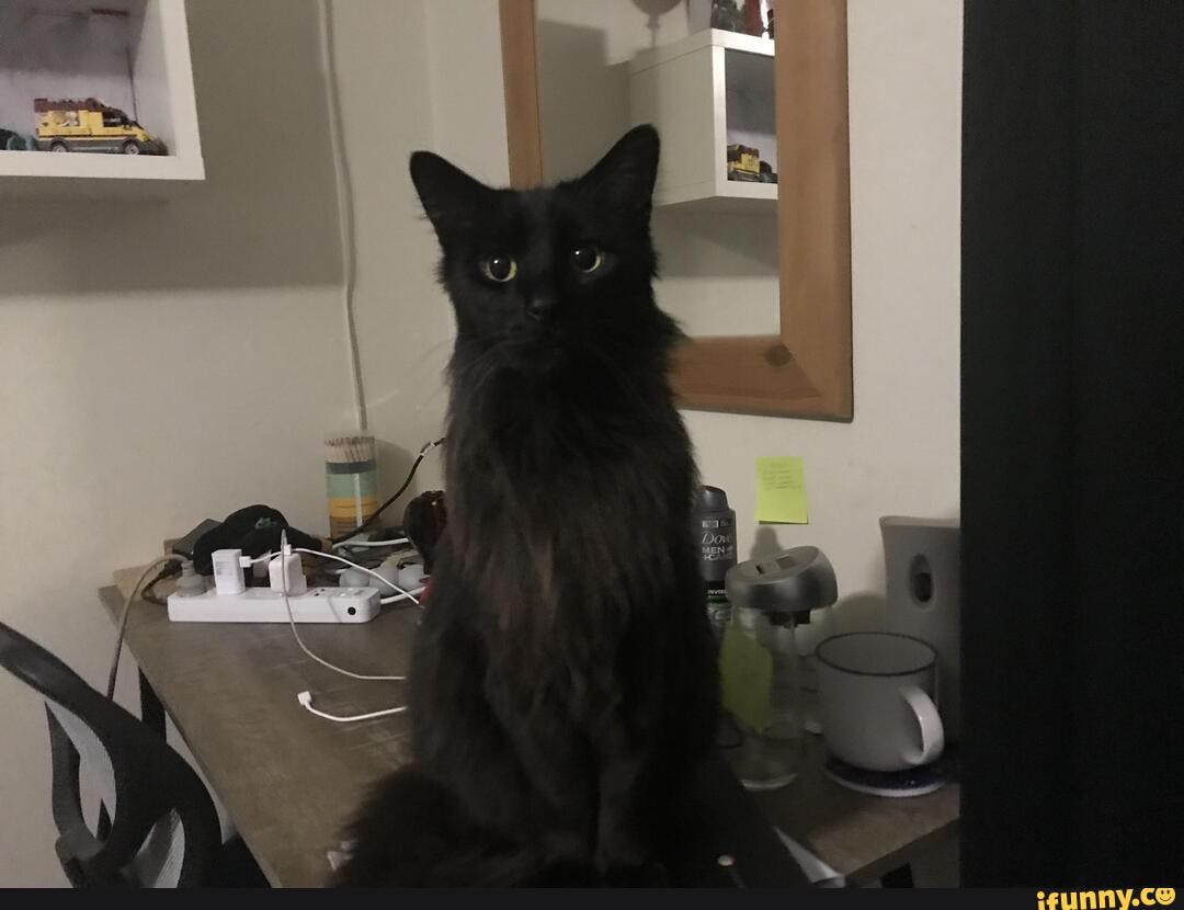 Rhubarb memes. Best Collection of funny Rhubarb pictures on iFunny