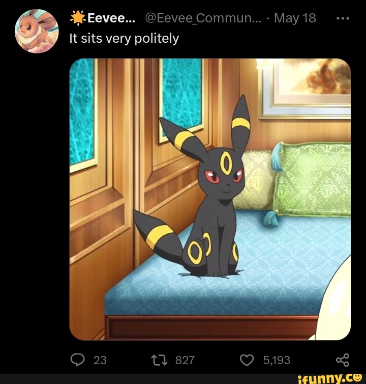 Eevee... @Eevee Commun... May 18 It sits very politely - iFunny