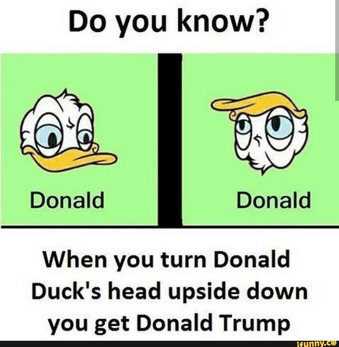 Do you know? When you turn Donald Duck's head upside down you get ...
