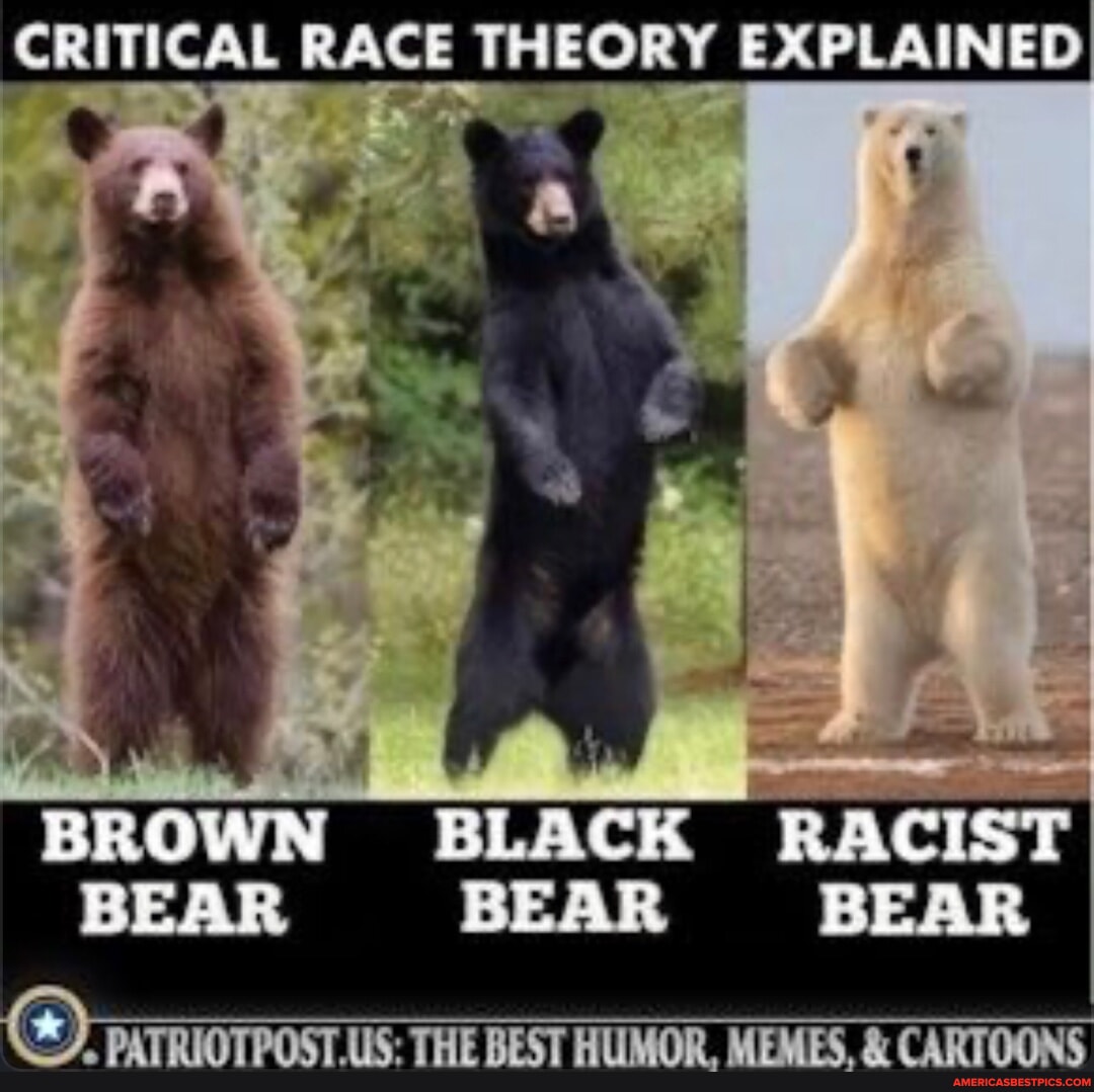 CRITICAL RACE THEORY EXPLAINED BLACK Us: THE BEST HUMOR. MEMES ...