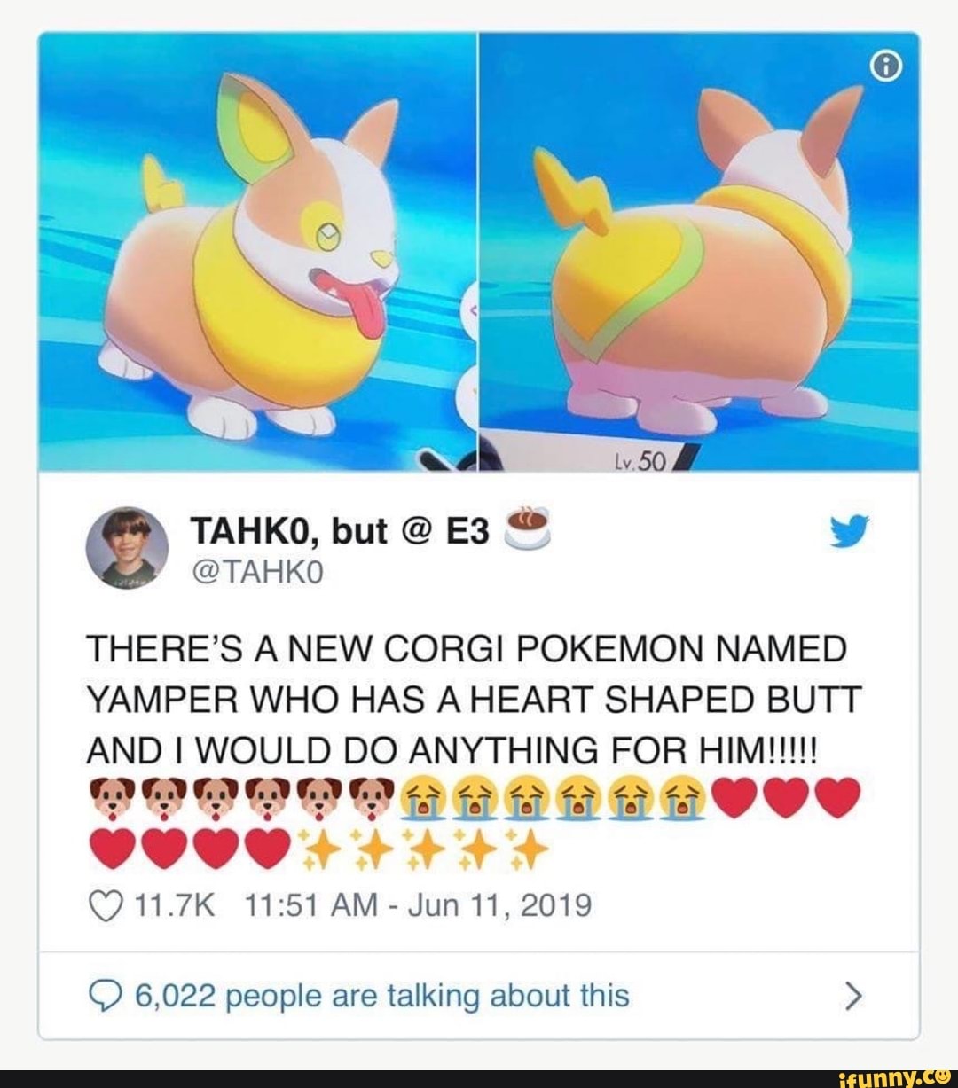 TAHKO, but THERE'S ANEW CORGI POKEMON NAMED YAMIPER WHO HAS HEART ...