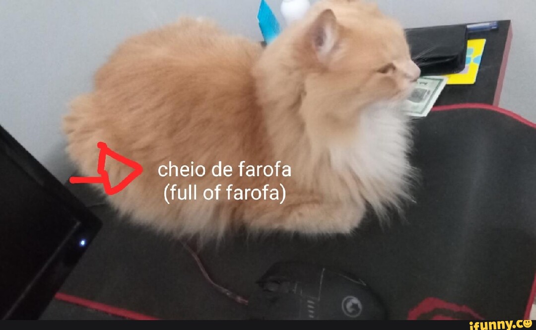 Cheio de farofa (full of farofa) - iFunny Brazil