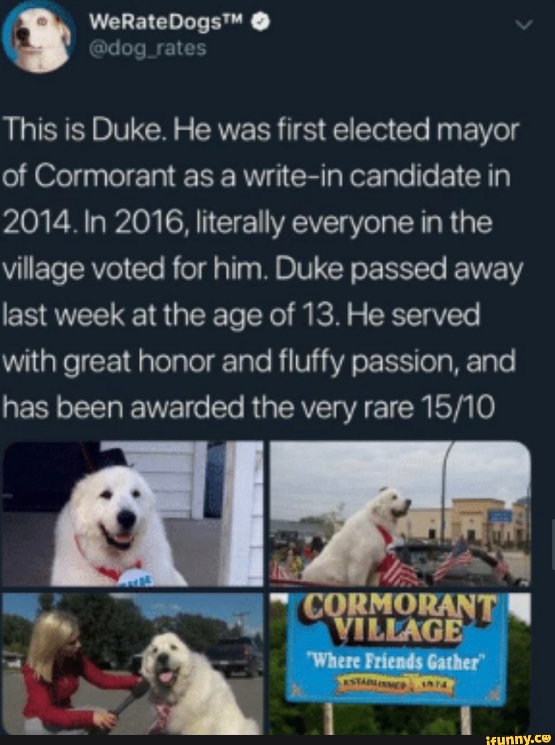 This is Duke. He was first elected mayor of Cormorant as a write-in ...