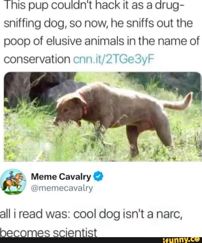 This pup coulant nack It as a drug- sniffing dog, so now, he sniffs out ...