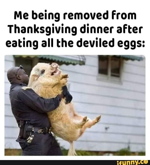Me being removed from Thanksgiving dinner after eating all the deviled ...