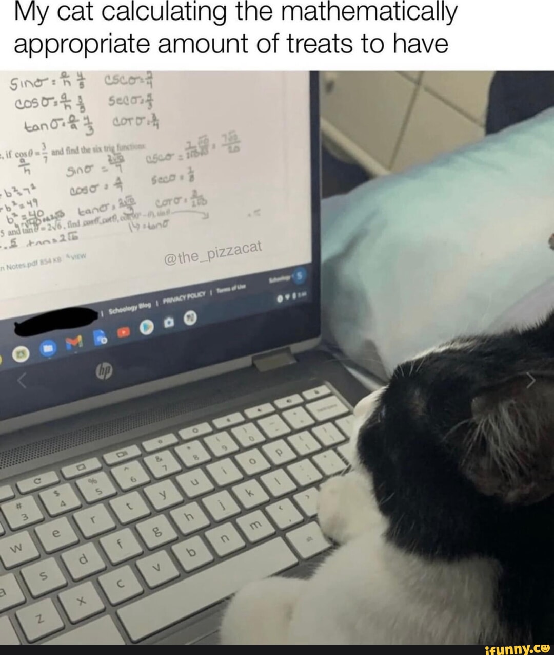 Calculating memes. Best Collection of funny Calculating pictures on iFunny