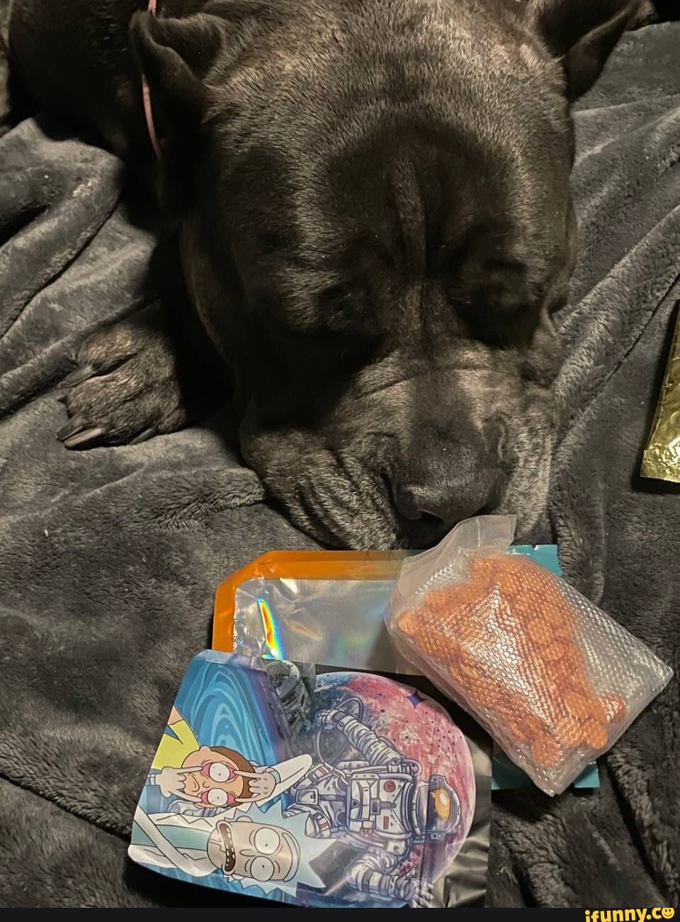 Strain memes. Best Collection of funny Strain pictures on iFunny