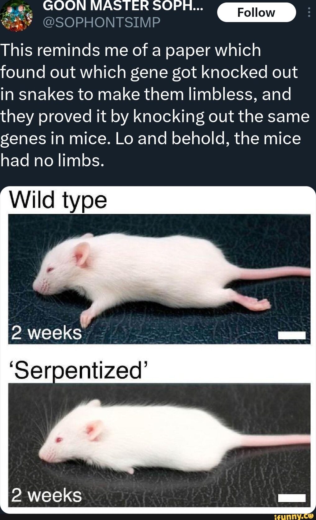 So my dad did the math on toilet pane a - iFunny