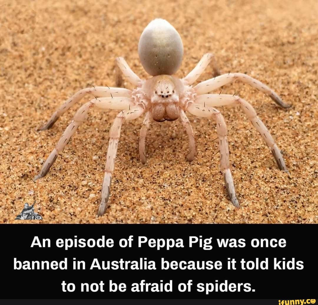 An episode of Peppa Pig was once banned in Australia because it told ...