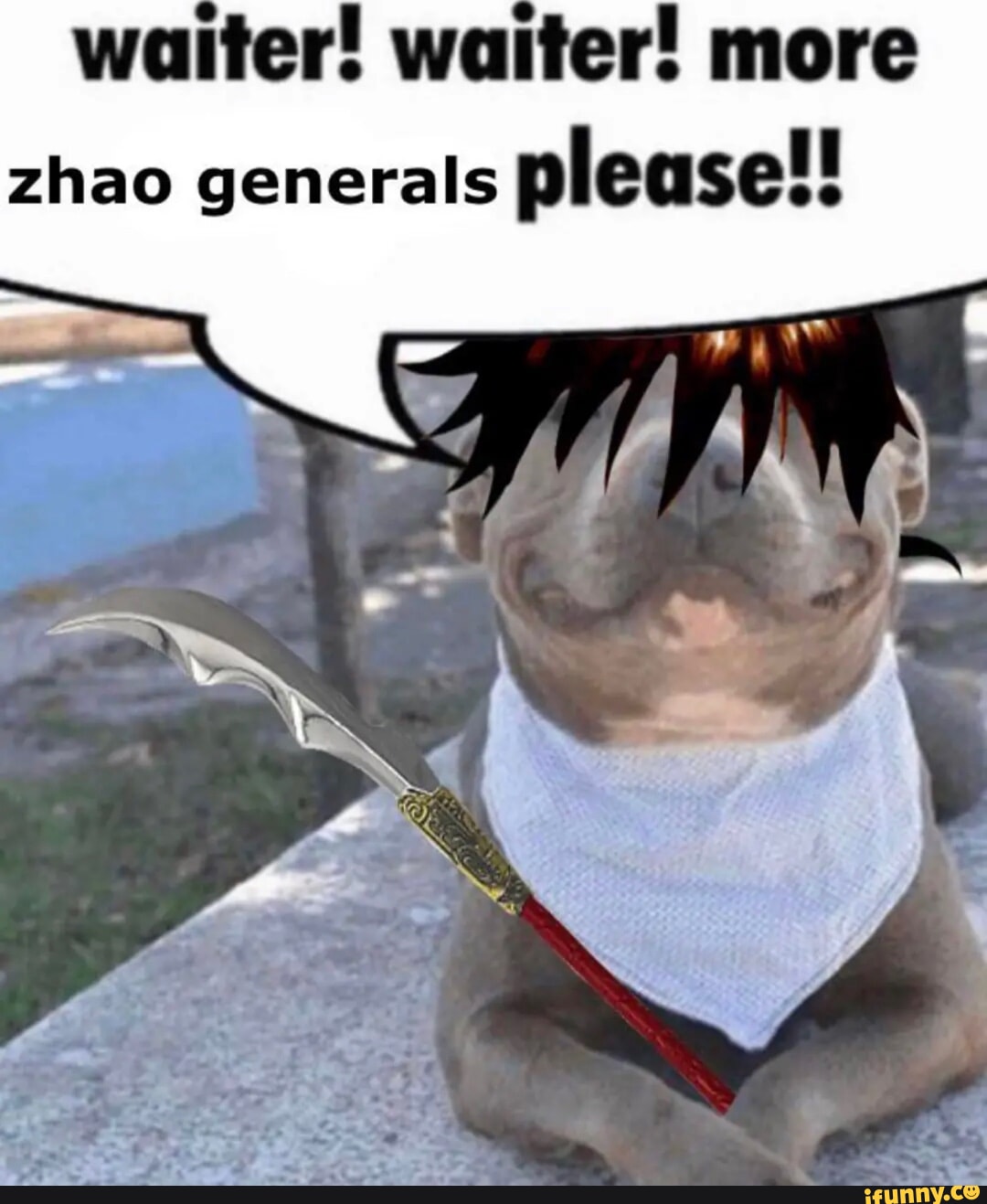 Waiter! waiter! more zhao generals please!! - iFunny