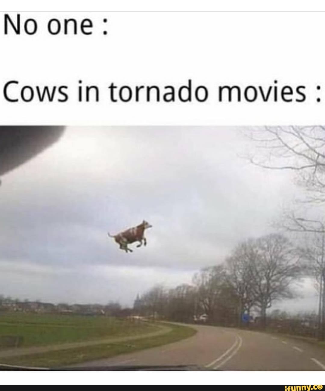Noone: Cows in tornado movies: - iFunny