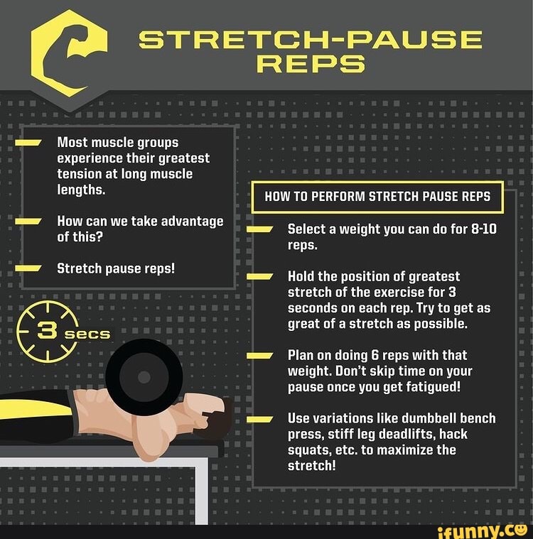 Most muscle groups experience their greatest tension at long muscle ...