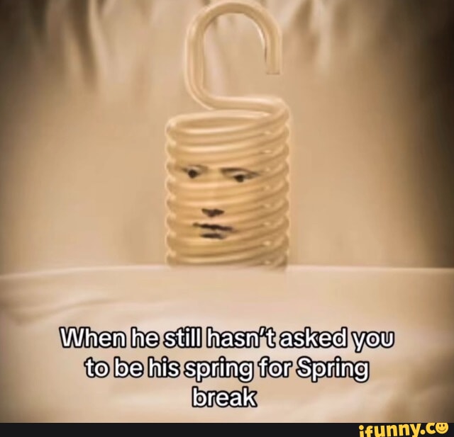 When he still hasn't asked you to be his spring for Spring break - iFunny